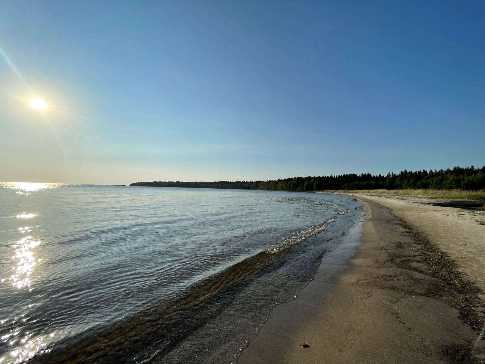 Kuvia Mantsista 19.8.2022 — Mantsinsaari Seura ry